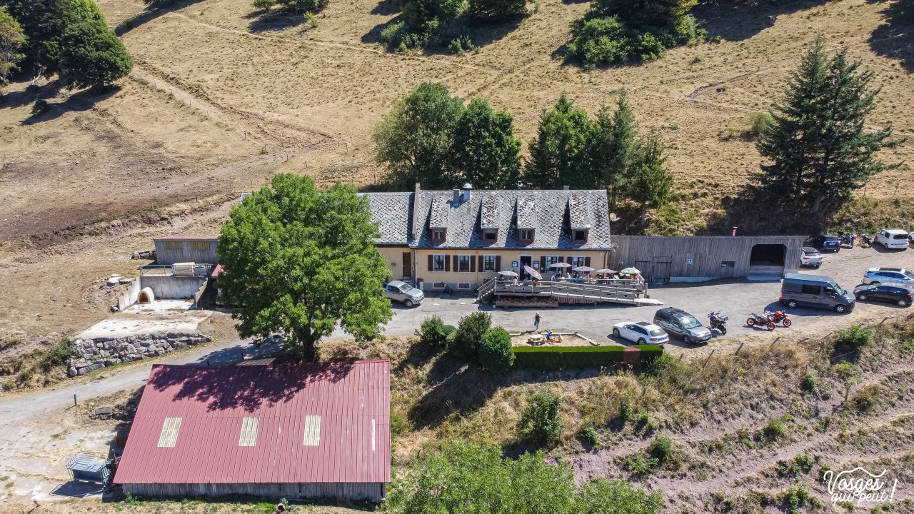 Micro-aventure dans les Vosges : les meilleures fermes-auberges