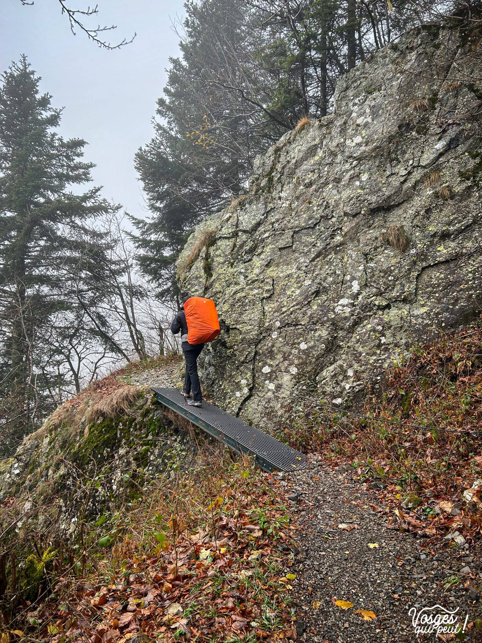 Micro-aventure de 3 jours dans les Vosges : de cabane en cabane