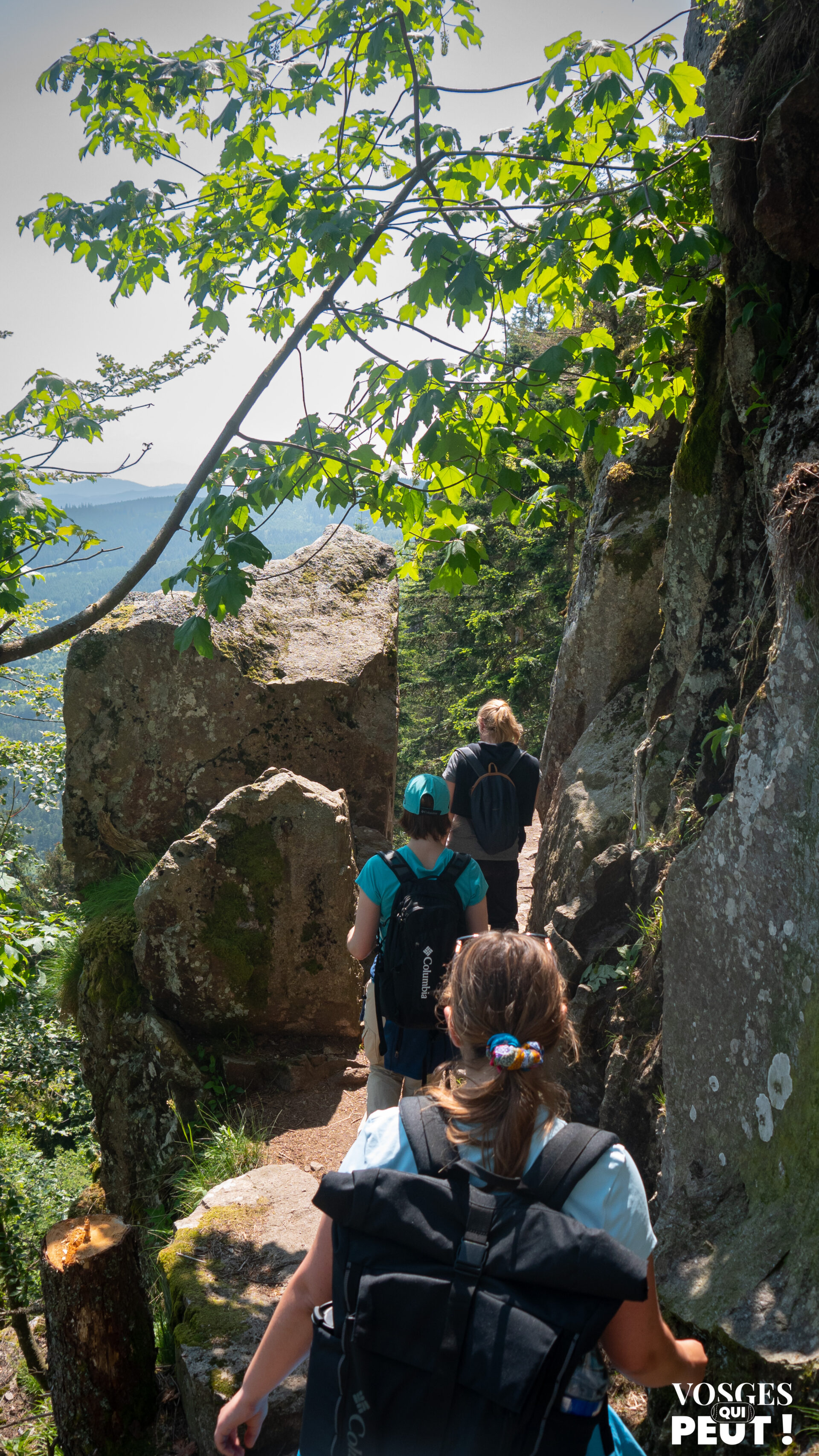 Randonnée sur le Sentier des Roches